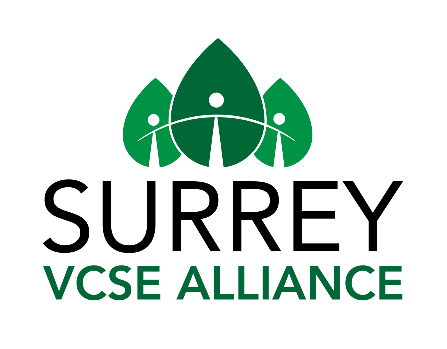 VSCE — Active Prospects